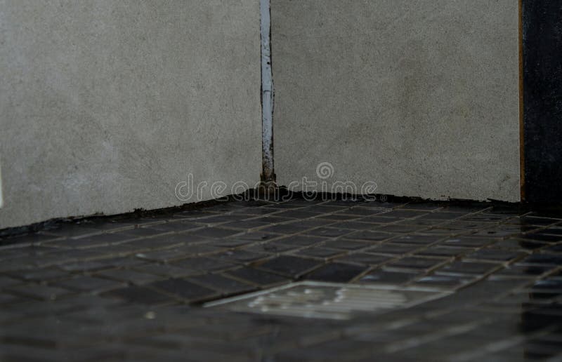 Grey Dirty Tiles with Mold in a Bathroom Stock Image - Image of black ...
