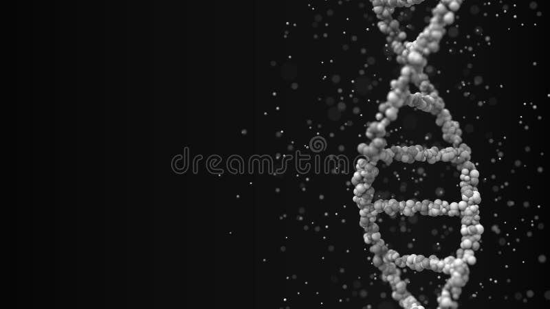 Grey DNA Molecule, Seamless Loop Stock Video - Video of line, science ...