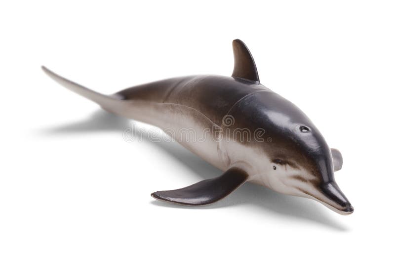 Grey Dolphin Top View stock image. Image of kids, grey - 161368979