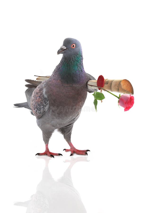 Custom Email Maker Free Stock Photos - Free & Royalty-Free Stock Photos ...