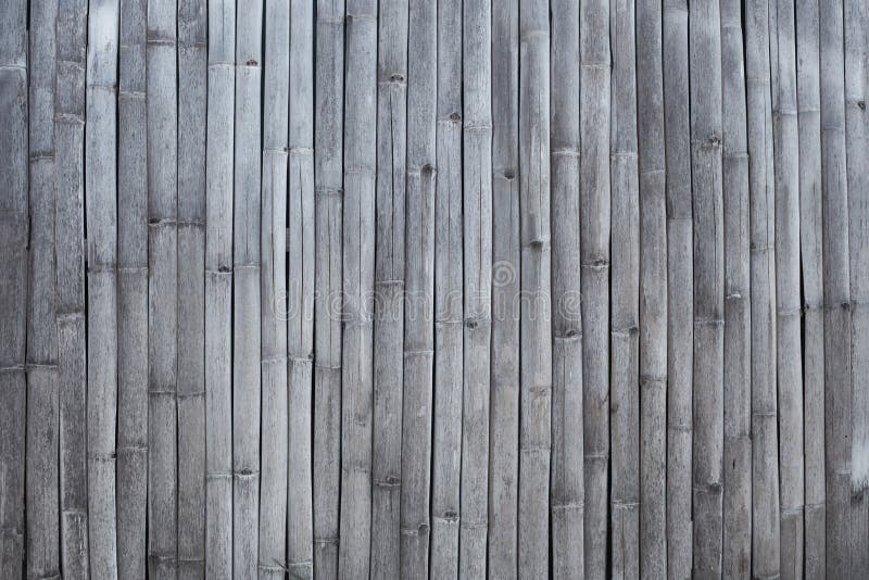 Grey Dry Bamboo Wall for Background - Art of Pattern, Wallpaper, Stock ...