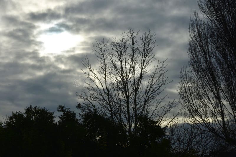 Grey and dull cloudy sky stock image. Image of trees - 150924289