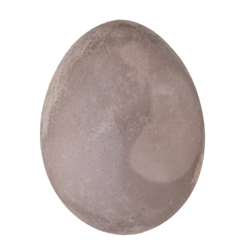 Grey egg isolated stock photo. Image of precious, organic - 245897992