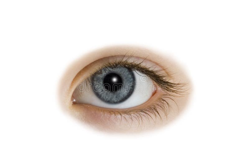 Grey eye (color) stock image. Image of female, ladies, eyeball - 464707