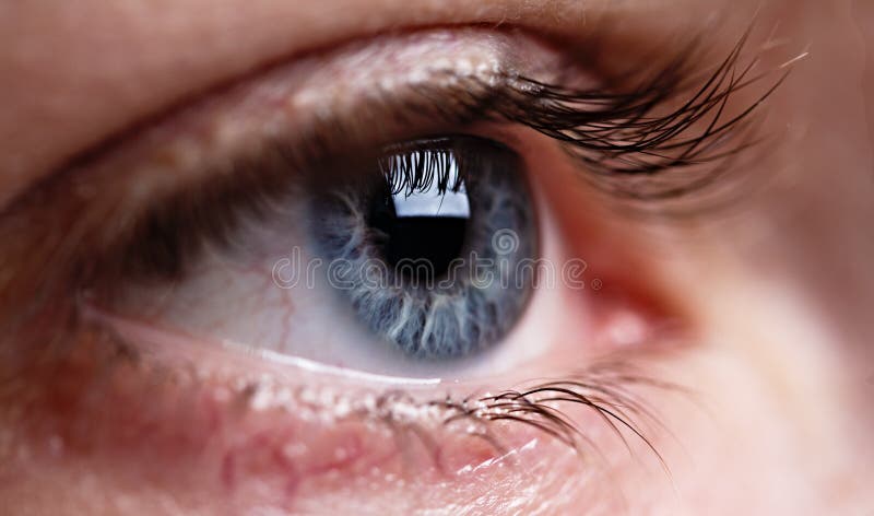 261 Eye Glint Stock Photos - Free & Royalty-Free Stock Photos from ...