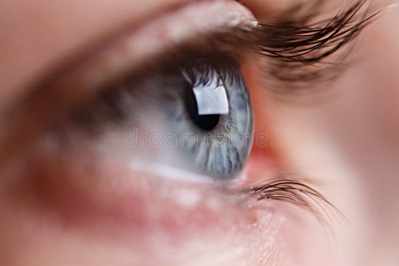 261 Eye Glint Stock Photos - Free & Royalty-Free Stock Photos from ...
