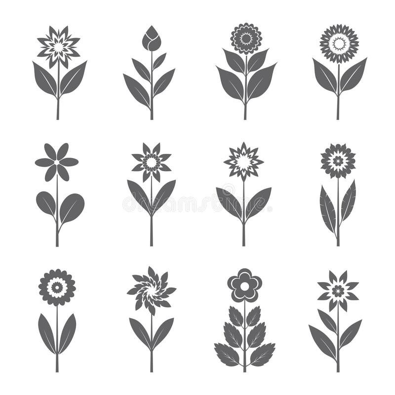 Grey Flowers and Leafs. Vector Illustration Stock Illustration ...