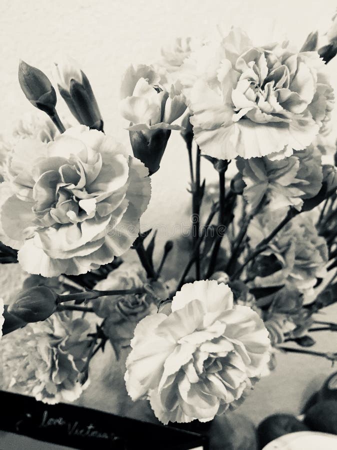 Grey flowers stock image. Image of grey, photograph - 113515551