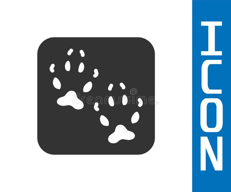 Grey Fox Paw Footprint Icon Isolated on White Background. Vector Stock ...