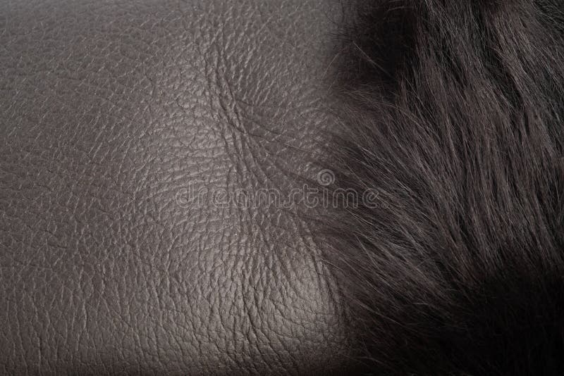 Grey Fur Over Grey Leather stock photo. Image of wool - 69120266