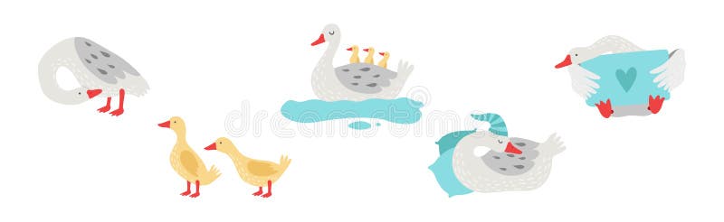 Grey Goose Character in Different Activity Vector Set Stock Vector ...