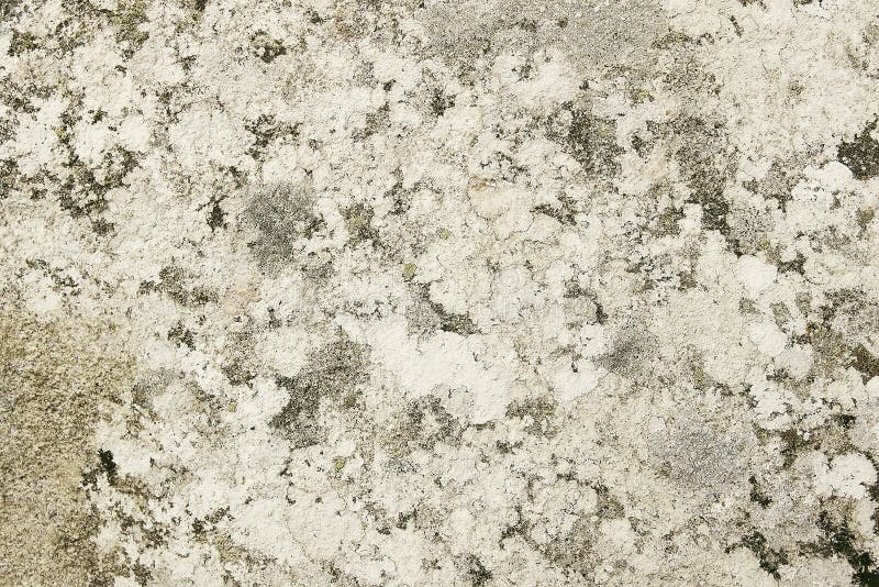 Grey Granite Rock with Moss Background Texture Stock Photo - Image of ...