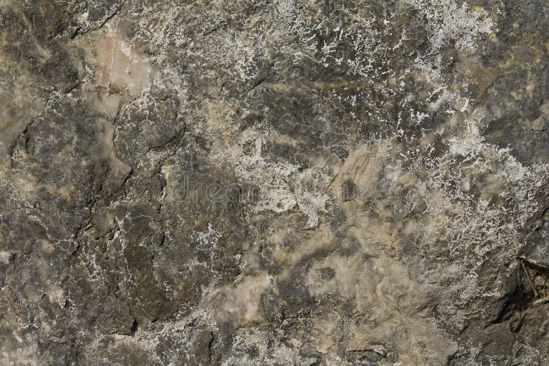 Grey Granite Stone Texture. Rough Stone Stock Image - Image of ...