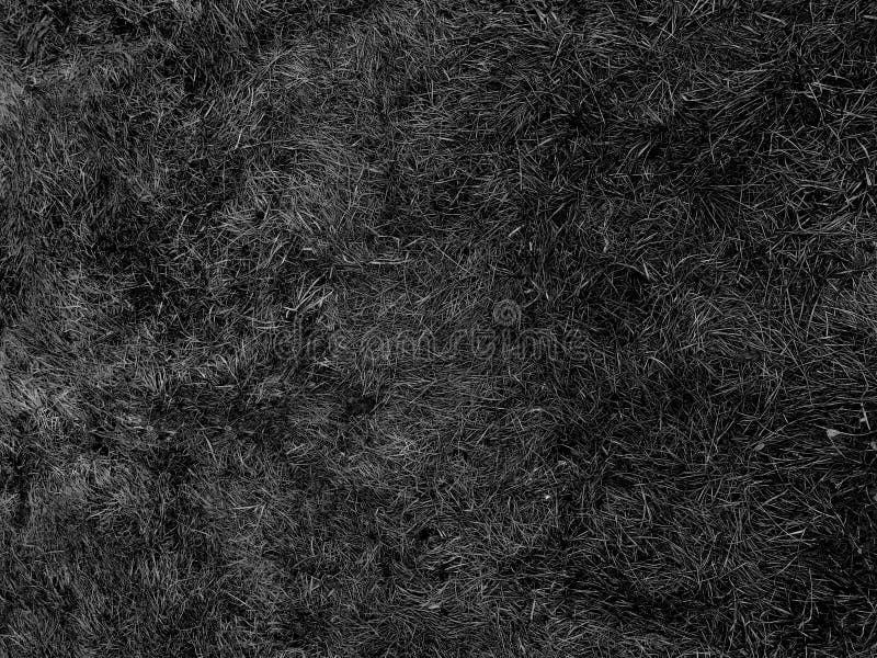 Garage Door Spring Black Stock Photos - Free & Royalty-Free Stock ...