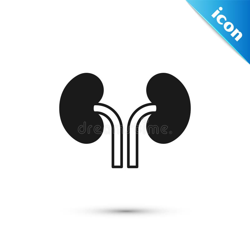 Set Human Kidneys, Ultrasound and Location Hospital Icon. Vector Stock ...