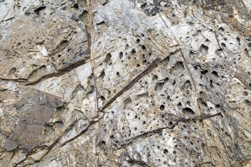 Grey Igneous Rocks Background Stock Image - Image of grey, beach: 97018901