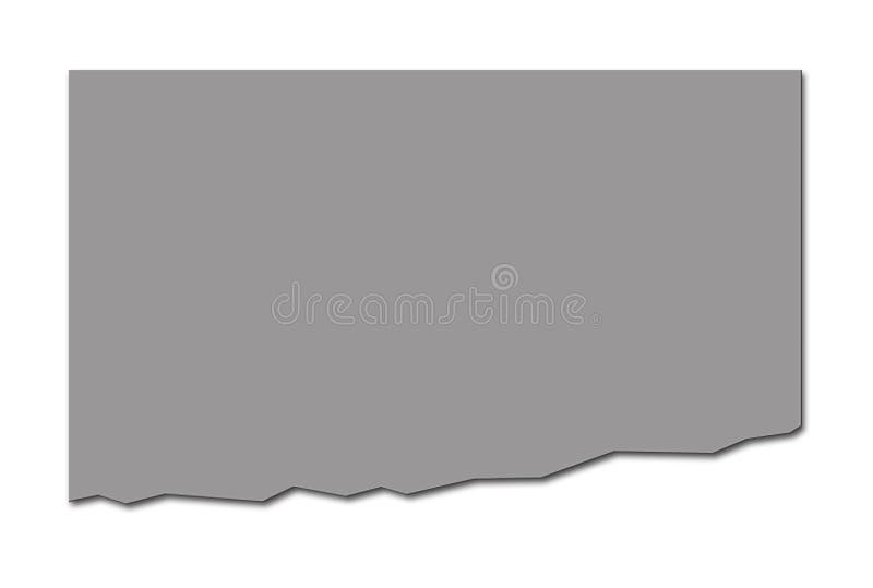 Grey Insert Report or Screenshoot Blank Template for Presentation ...