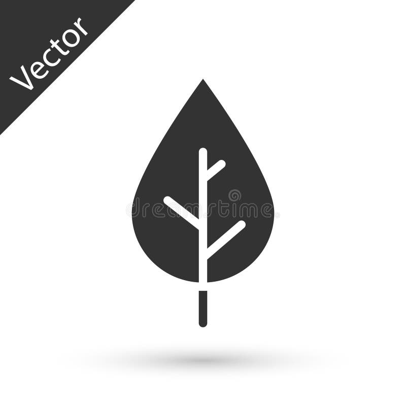 Grey Leaf Icon Isolated on White Background. Leaves Sign. Fresh Natural ...