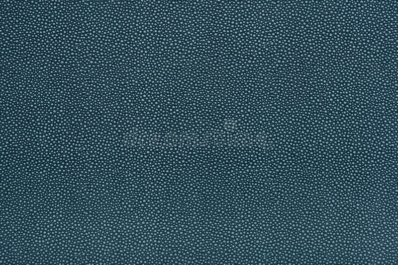 Close Up View of Grey Leather Stock Image - Image of copyspace ...
