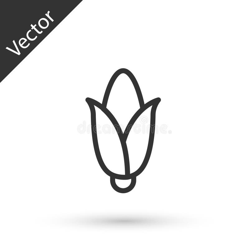 Grey Line Corn Icon Isolated on White Background. Vector Stock Vector ...