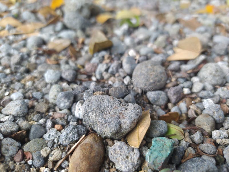 Grey Little Stone stock image. Image of grey, little - 221919447