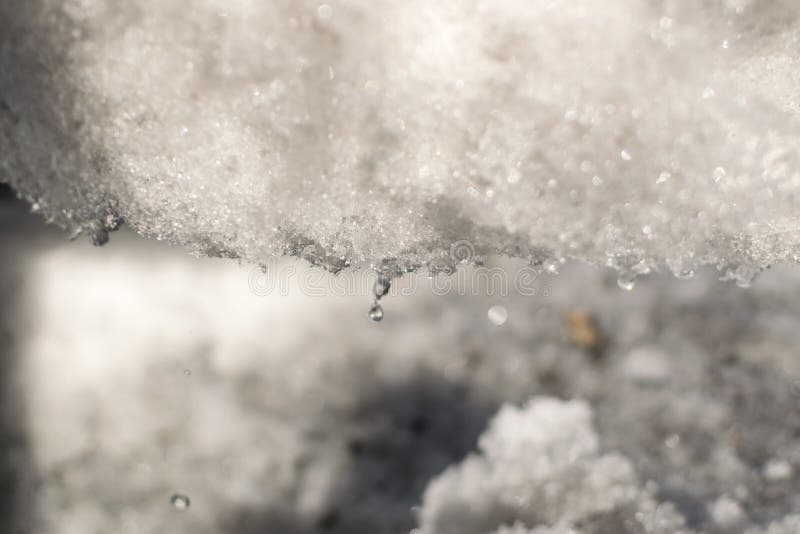 Grey Melted Snow on the Ground in Early Spring Stock Photo - Image of ...