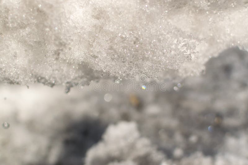 Grey Melted Snow on the Ground in Early Spring Stock Image - Image of ...