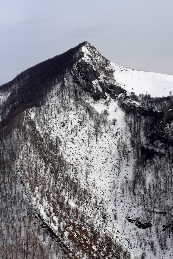 Grey mountain stock image. Image of nature, meadow, herbal - 28611427