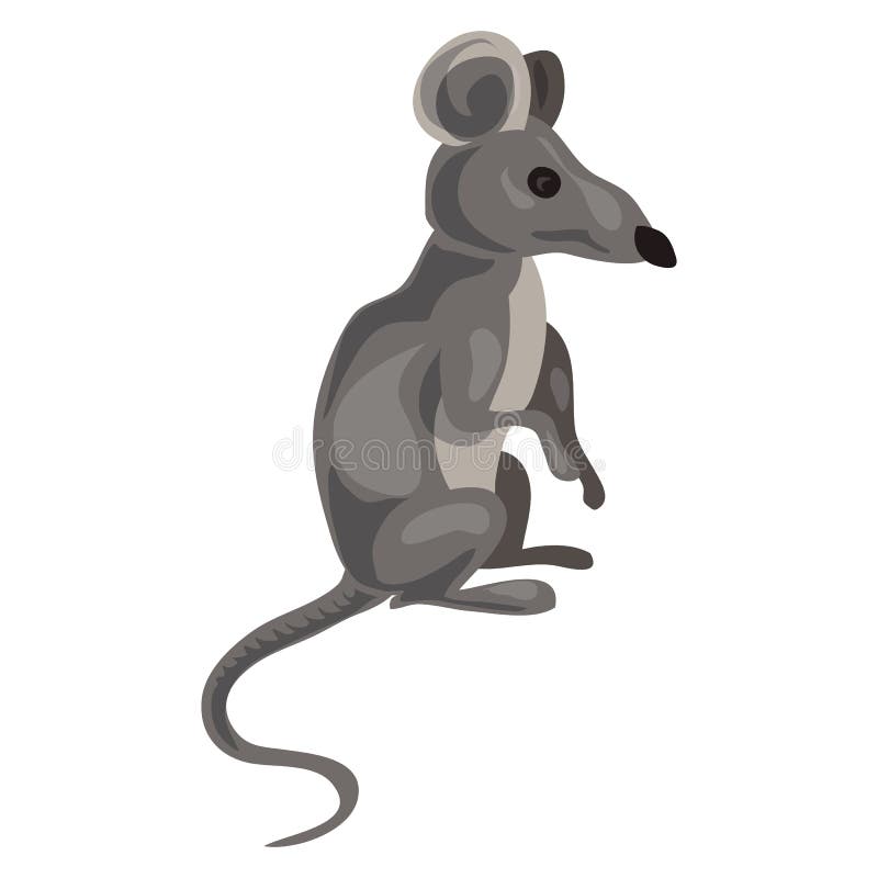 Grey Mouse Icon, Cartoon Style Stock Vector - Illustration of creature ...