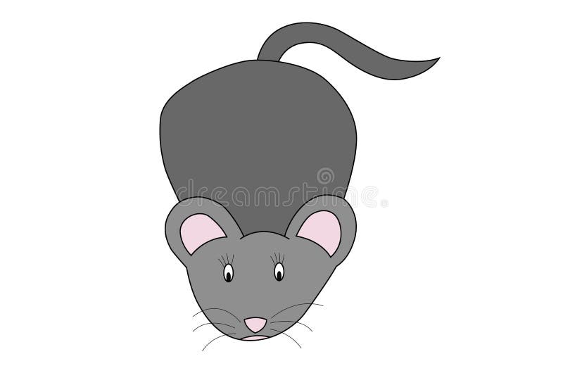 Grey mouse stock illustration. Illustration of pose, concept - 84774539