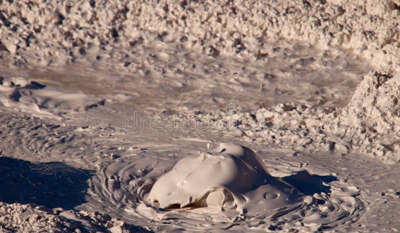 Mud Hot Spring in Yellowstone National Park, USA Stock Image - Image of ...