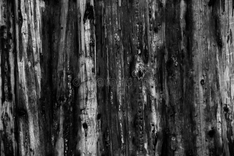 Grey Old Log Cabin Wall Texture. Dark Rustic House Log Wall Stock Photo ...