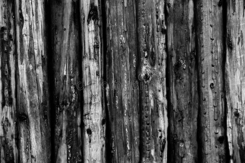 Grey Old Log Cabin Wall Texture. Dark Rustic House Log Wall Stock Photo ...
