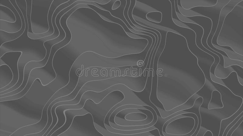 Grey Outline Topographic Contour Map Abstract Tech 3d Motion Background ...