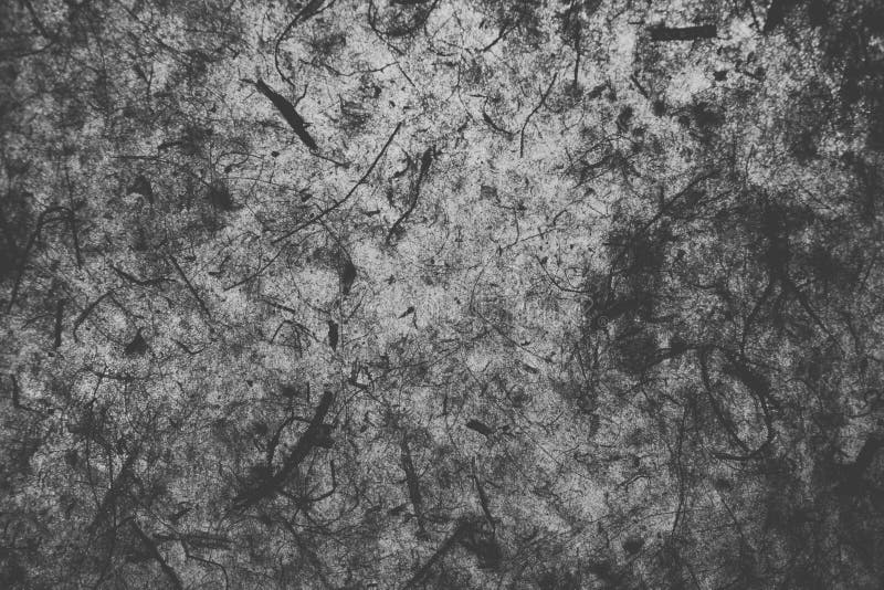 Grey Paper Texture. Close Up View of Grey Recycled Paper As Texture and ...