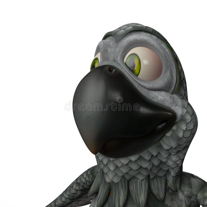 Grey Parrot Cartoon Model Pose Stock Illustration - Illustration of ...