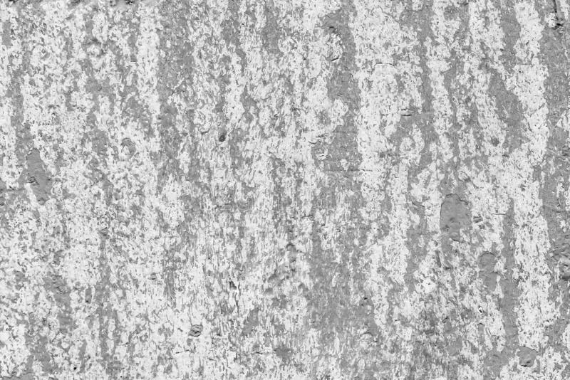 Grey Peeling Paint Abstract Gray Pattern Design Worn Weathered White ...
