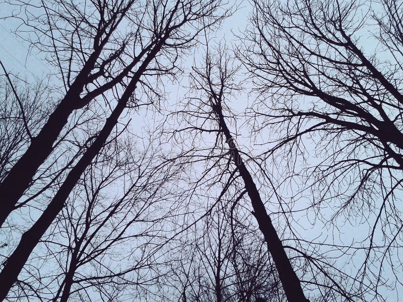 Grey stock image. Image of fall, weather, grey, autumn - 86251587