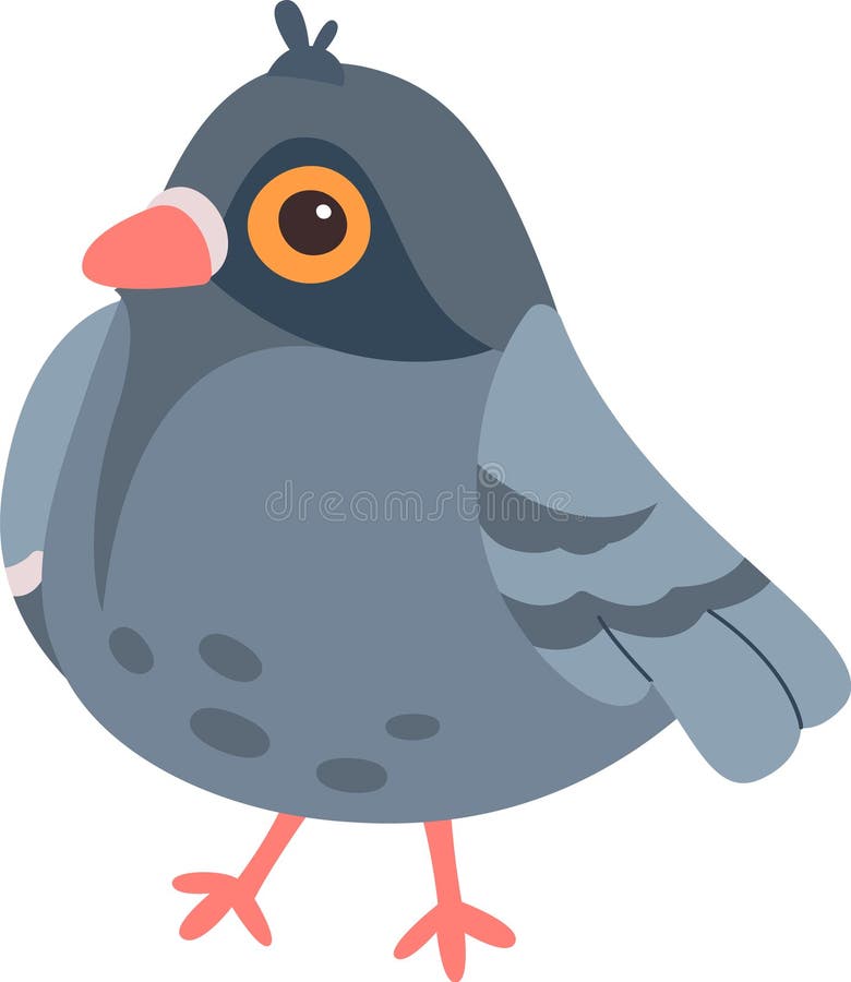 Grey Pigeon Character stock vector. Illustration of bird - 287566564