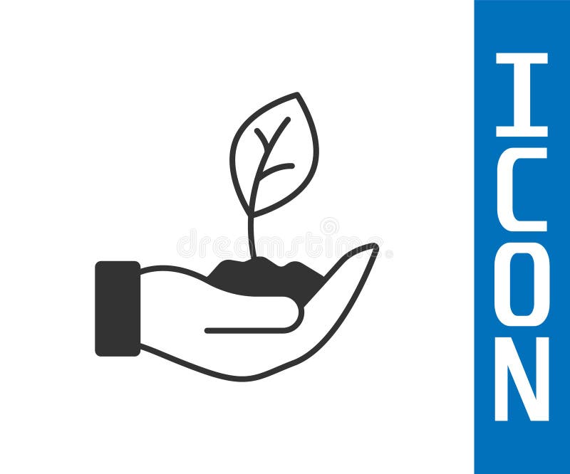 Vector Illustration Sapling Grey Icon Stock Illustrations – 213 Vector ...