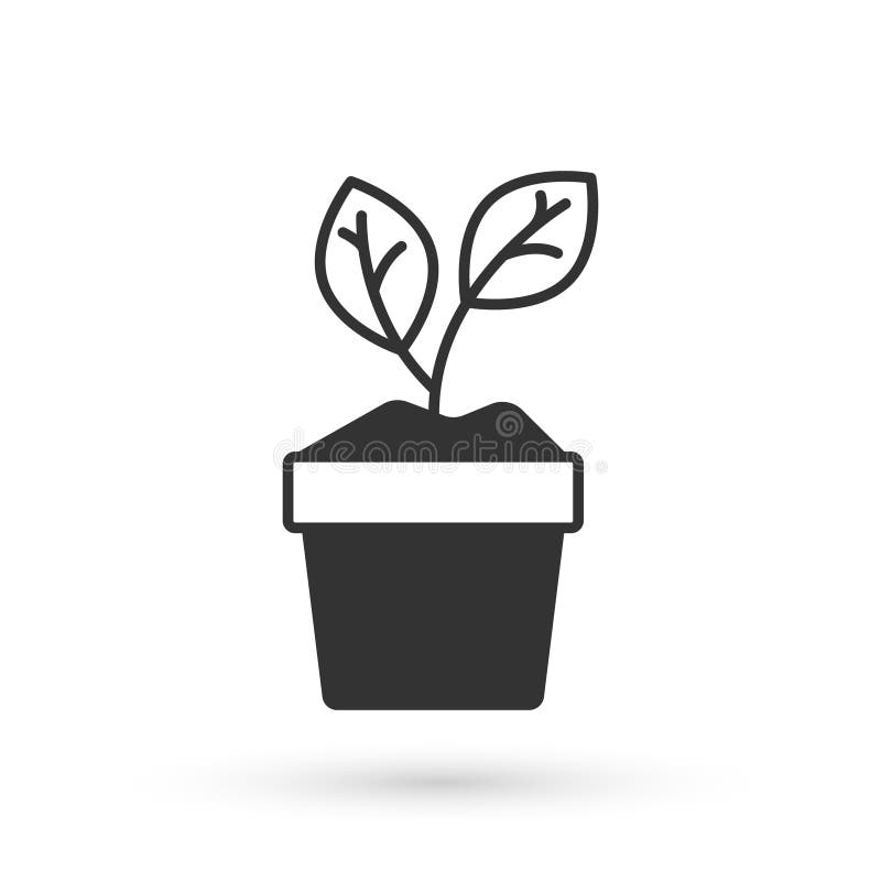 Grey Plant in Pot Icon Isolated on White Background. Plant Growing in a ...