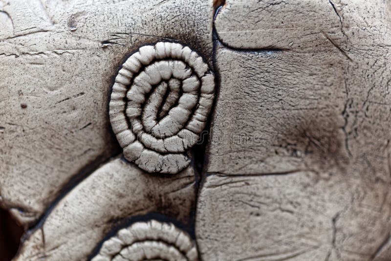 Grey Pottery Surface with a Fossil Texture Stock Photo - Image of ...