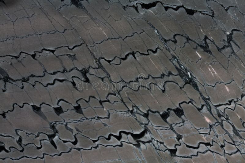 Grey Quartzite Stone Texture Close Up. Seamless Square Background, Tile ...