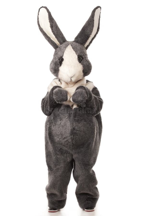 Puppet funny rabbit stock image. Image of spring, child - 22979137