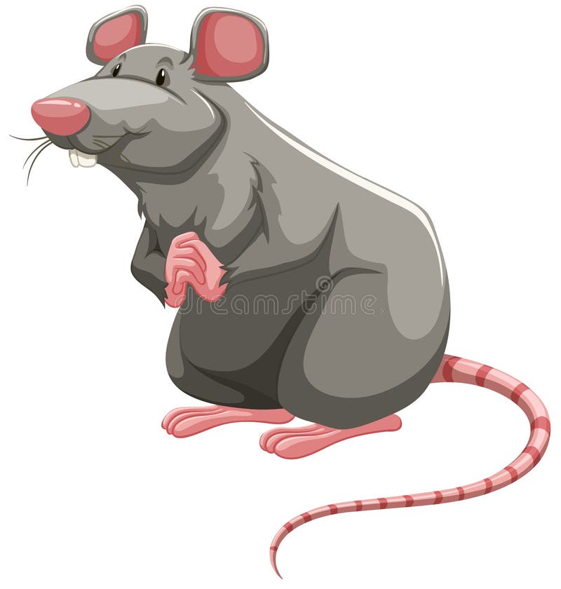 Rat Stock Illustrations – 49,399 Rat Stock Illustrations, Vectors ...