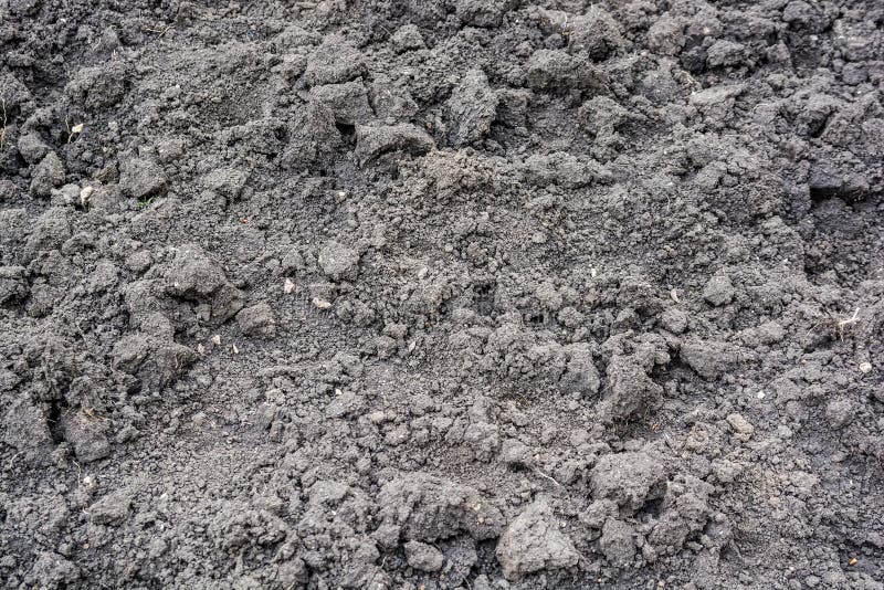 Grey soil with stones stock image. Image of blades, nature - 121641485