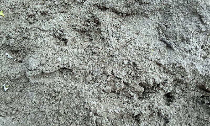 Grey Soil