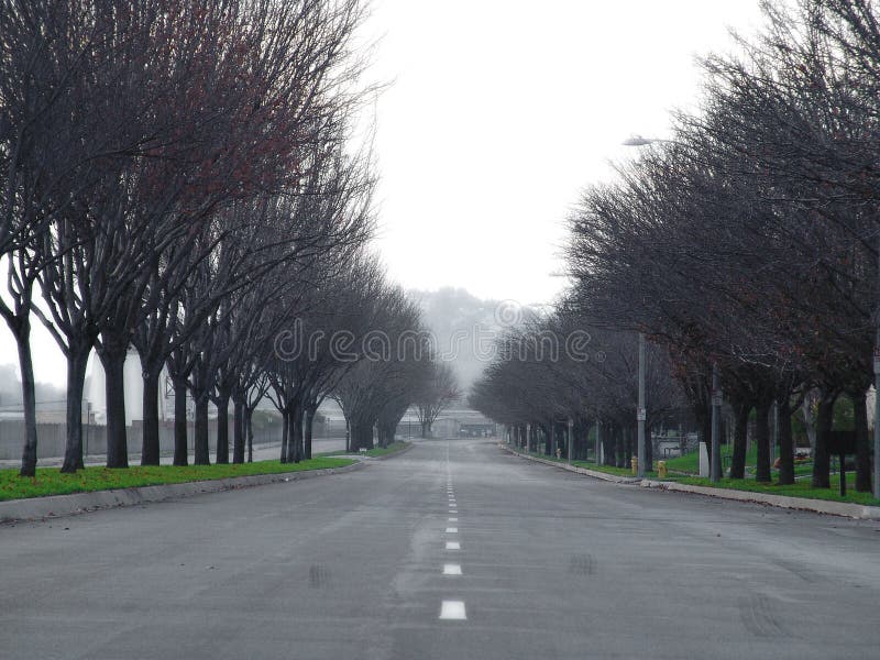 Grey road stock image. Image of green, straight, grass - 450265