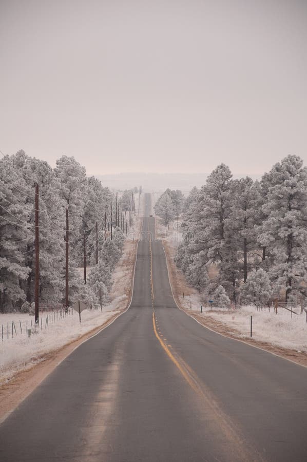 Grey Road stock photo. Image of fitness, clouds, forest - 8221754