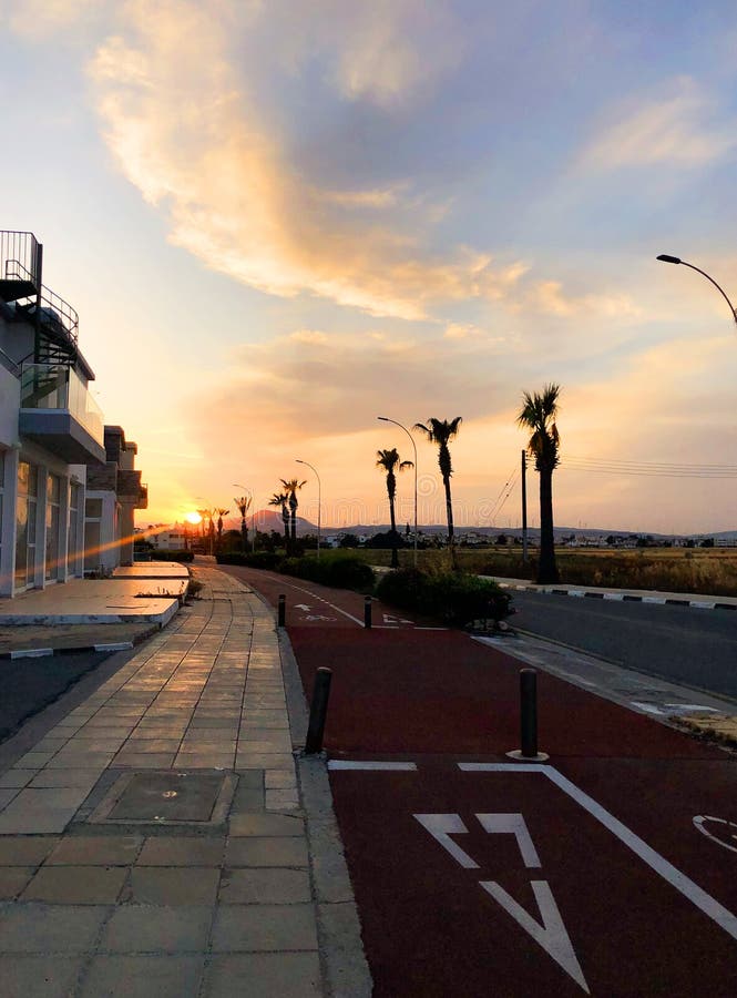 Grey Road Palms Summer Sky Stock Photos - Free & Royalty-Free Stock ...